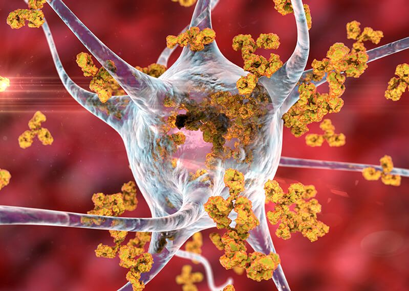 Immunadsorption bei Autoimmunerkrankungen - DIAMED - DIAMED